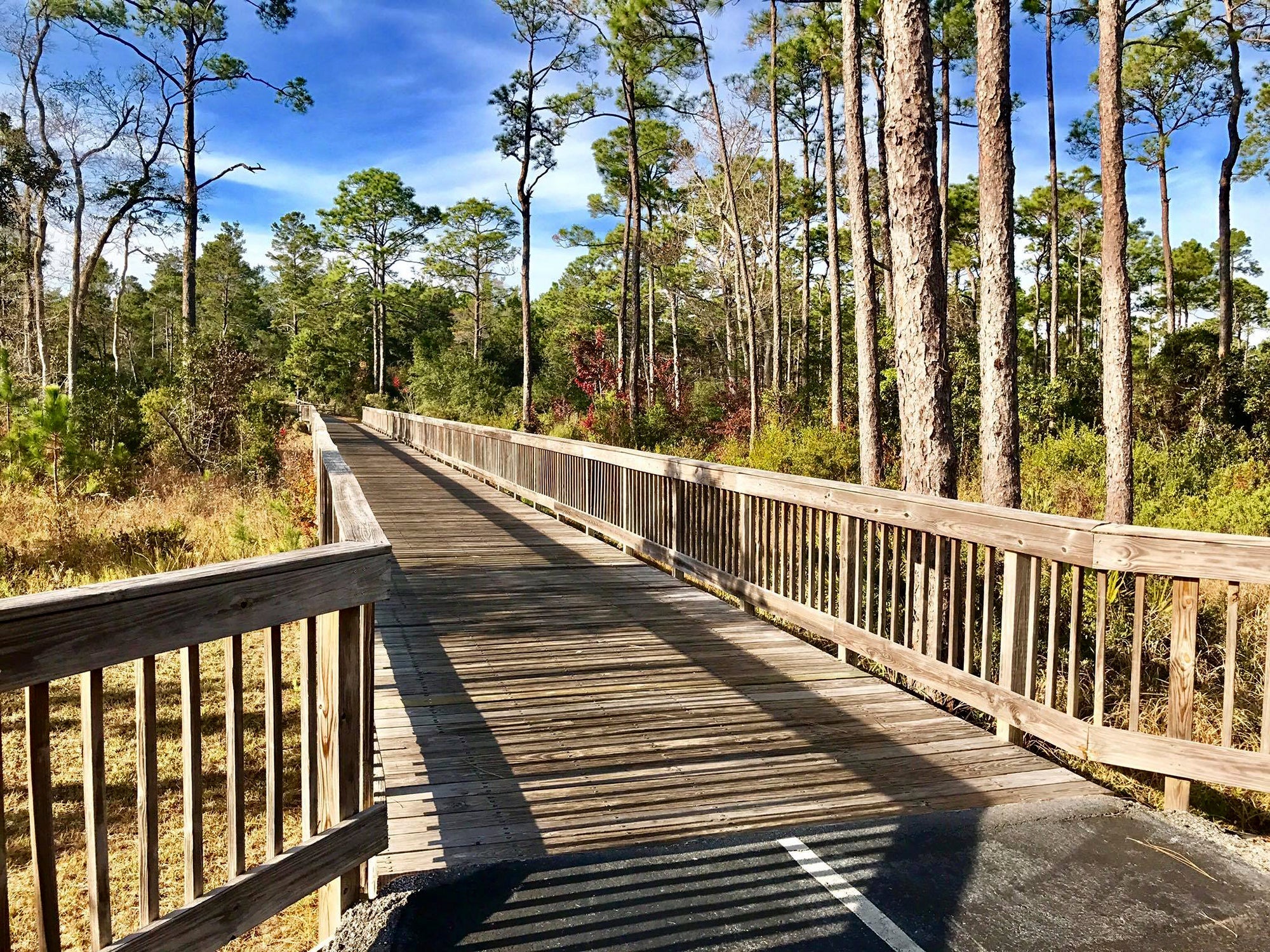 Hugh S. Branyon Backcountry Trail Takes Top Spot in USA Today Readers ...