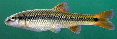 River | Outdoor Alabama