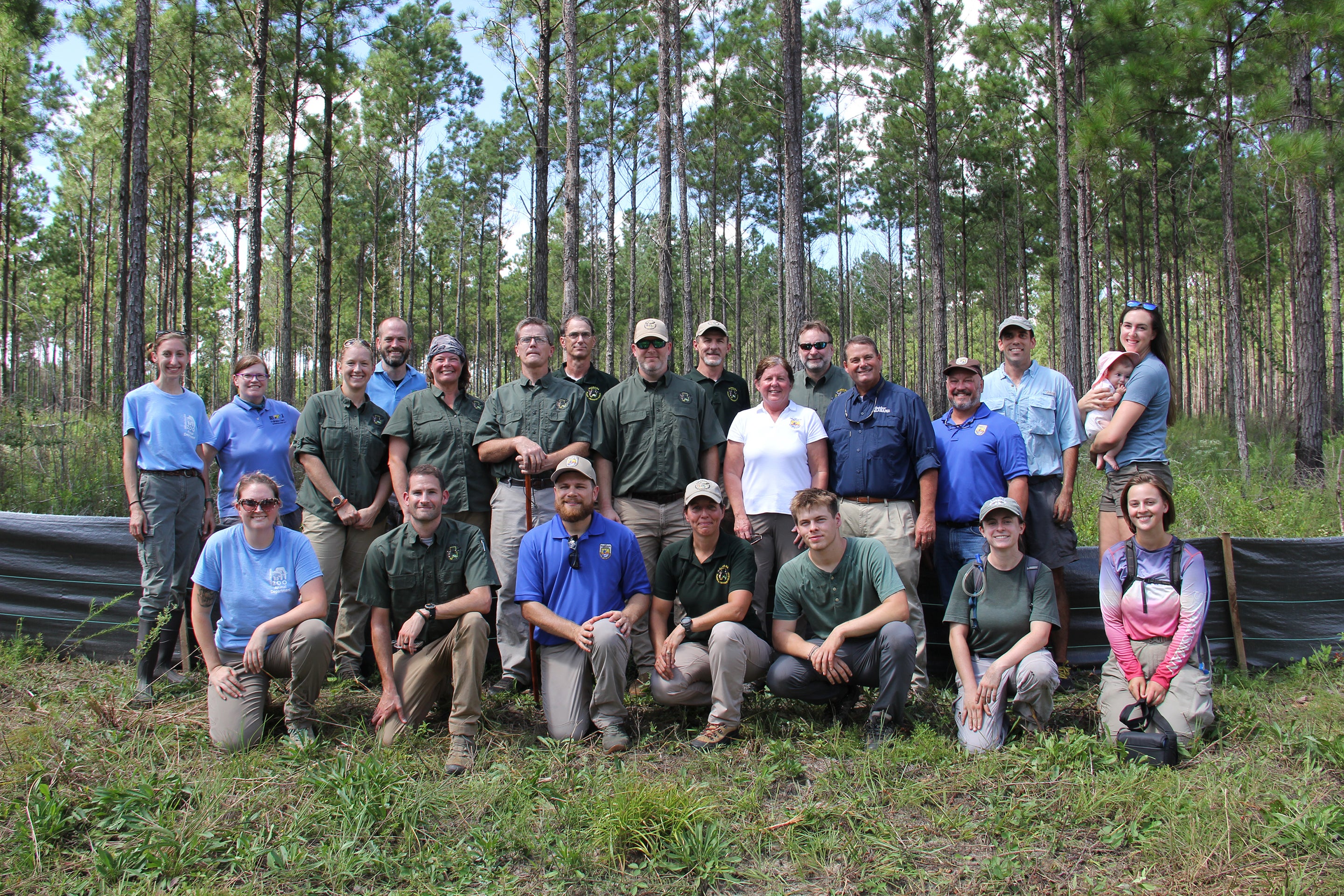 Gopher Tortoise Conservation Gets a Boost in South Alabama | Outdoor ...