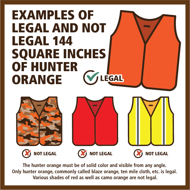 Hunter Orange Requirement in Alabama | Outdoor Alabama