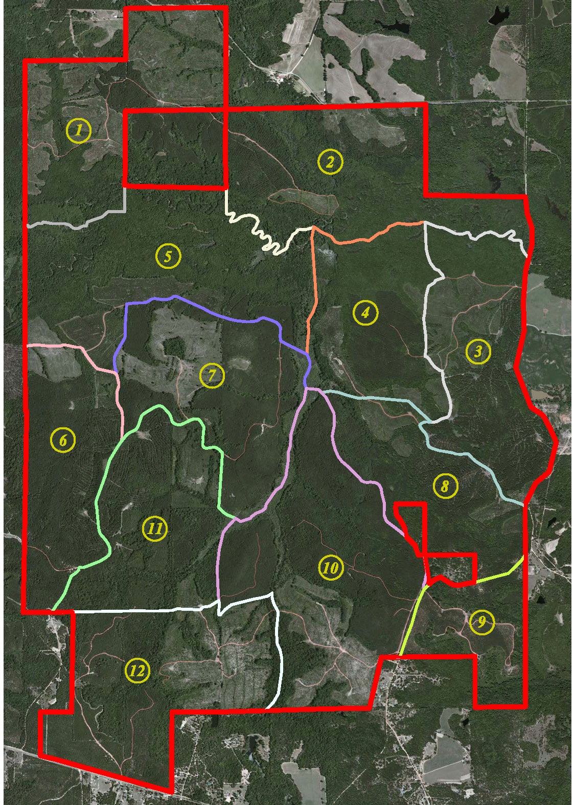 SOAs Add to Alabama Public Hunting Opportunities | Outdoor Alabama