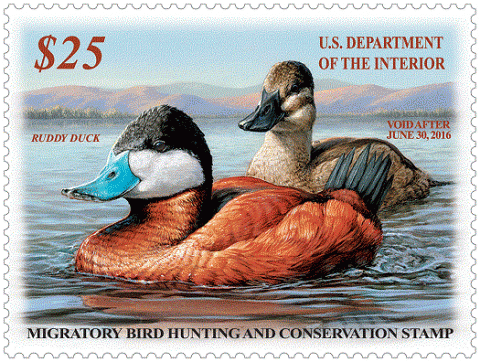 The Federal Duck Stamp: Where Does The Money Go? | Outdoor Alabama