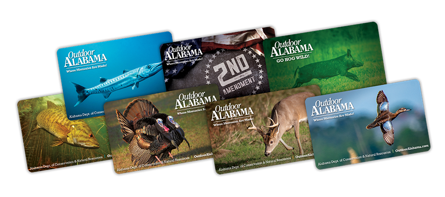 Alabama Collectible License Cards | Outdoor Alabama