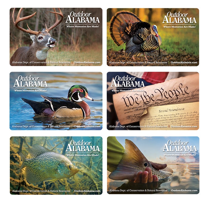 Alabama Collectible License Cards | Outdoor Alabama