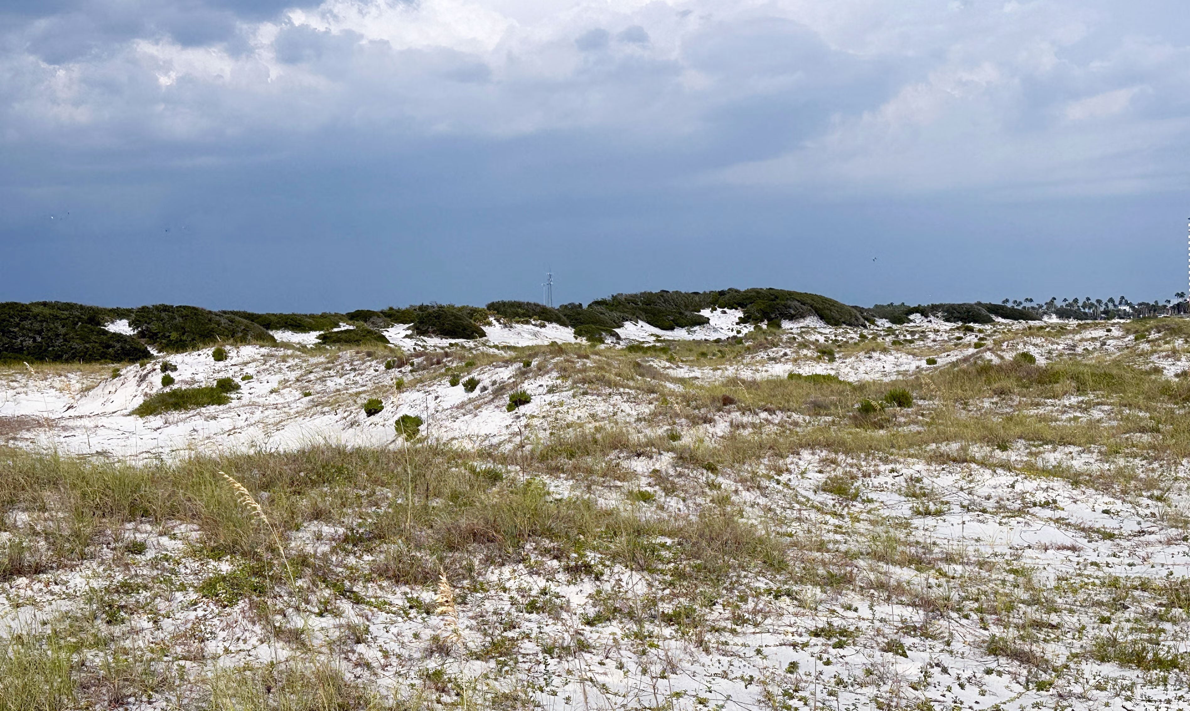 Donation on Fort Morgan Extends ADCNR's Conservation Goals | Outdoor ...