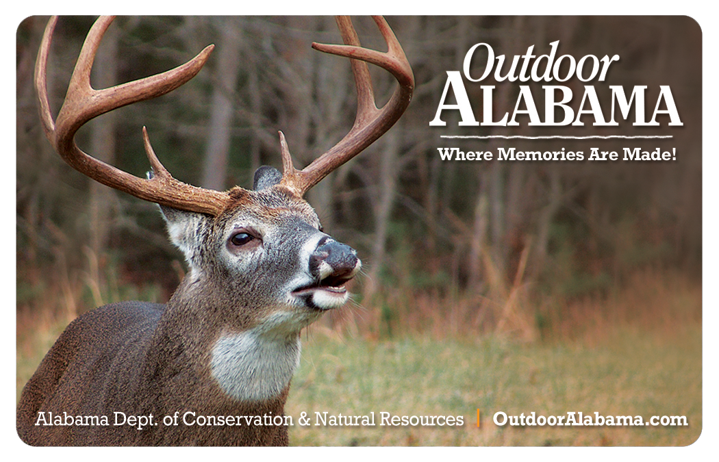 ADCNR Offers Packages for 2020-2021 Licenses | Outdoor Alabama