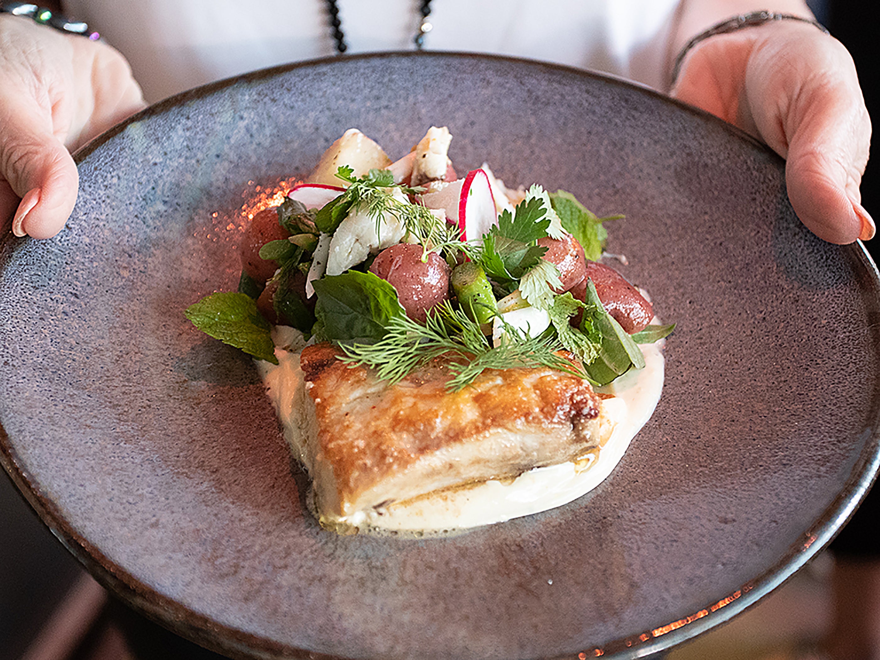 Compton's Redfish Dish Crowned at Alabama Seafood Cook-Off | Outdoor ...