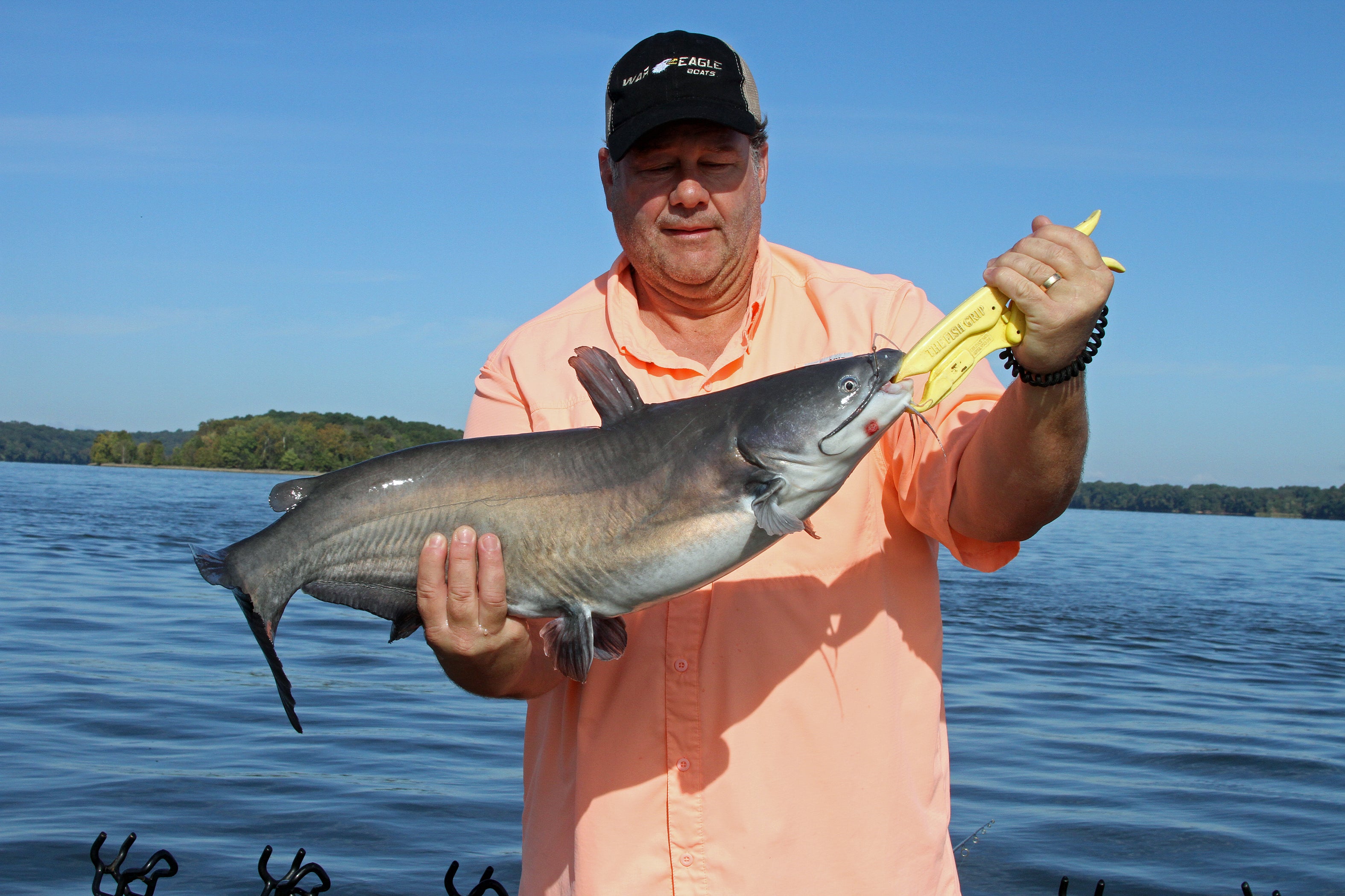 Live-Bait Fishing at Pickwick Yields Variety of Species | Outdoor Alabama