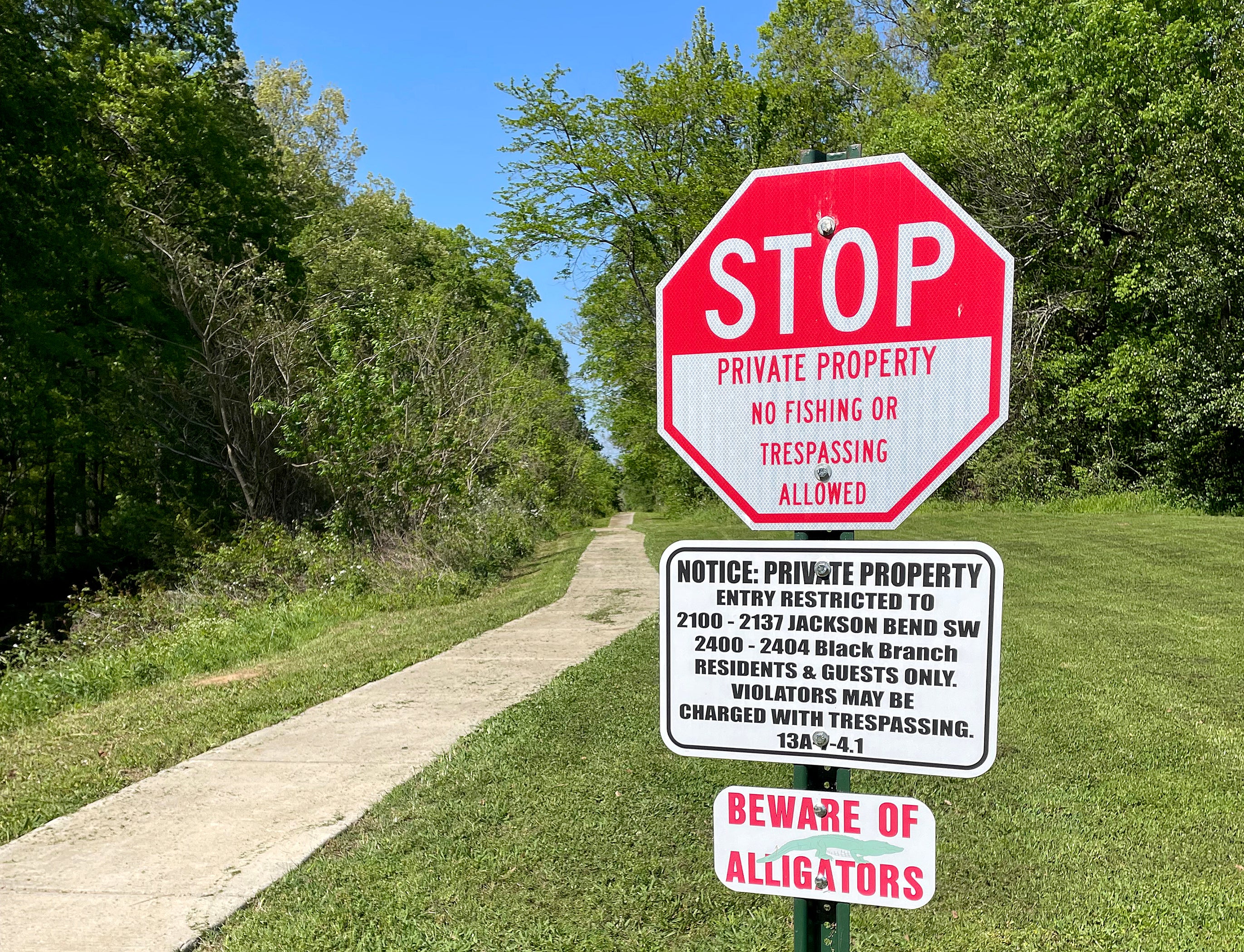 Expect to See Alligators Throughout Alabama | Outdoor Alabama