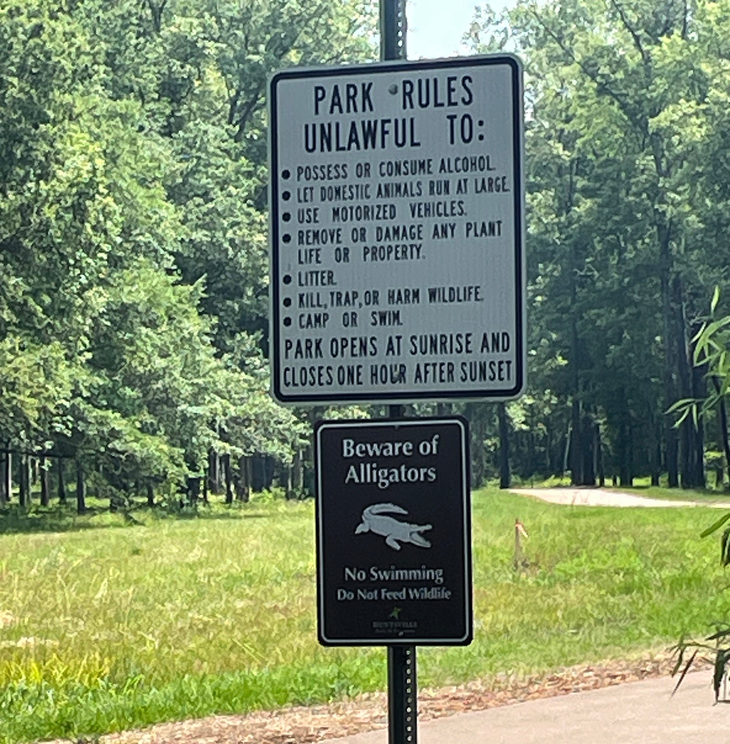 Expect to See Alligators Throughout Alabama | Outdoor Alabama