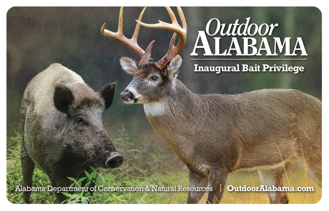 Bait Privilege License Opens Opportunities for Deer Hunters | Outdoor ...