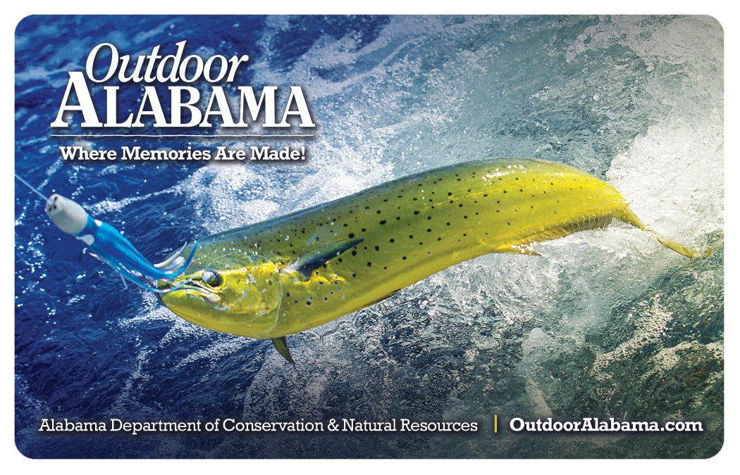 Alabama Wildlife Art Hard Licenses Now on Sale | Outdoor Alabama