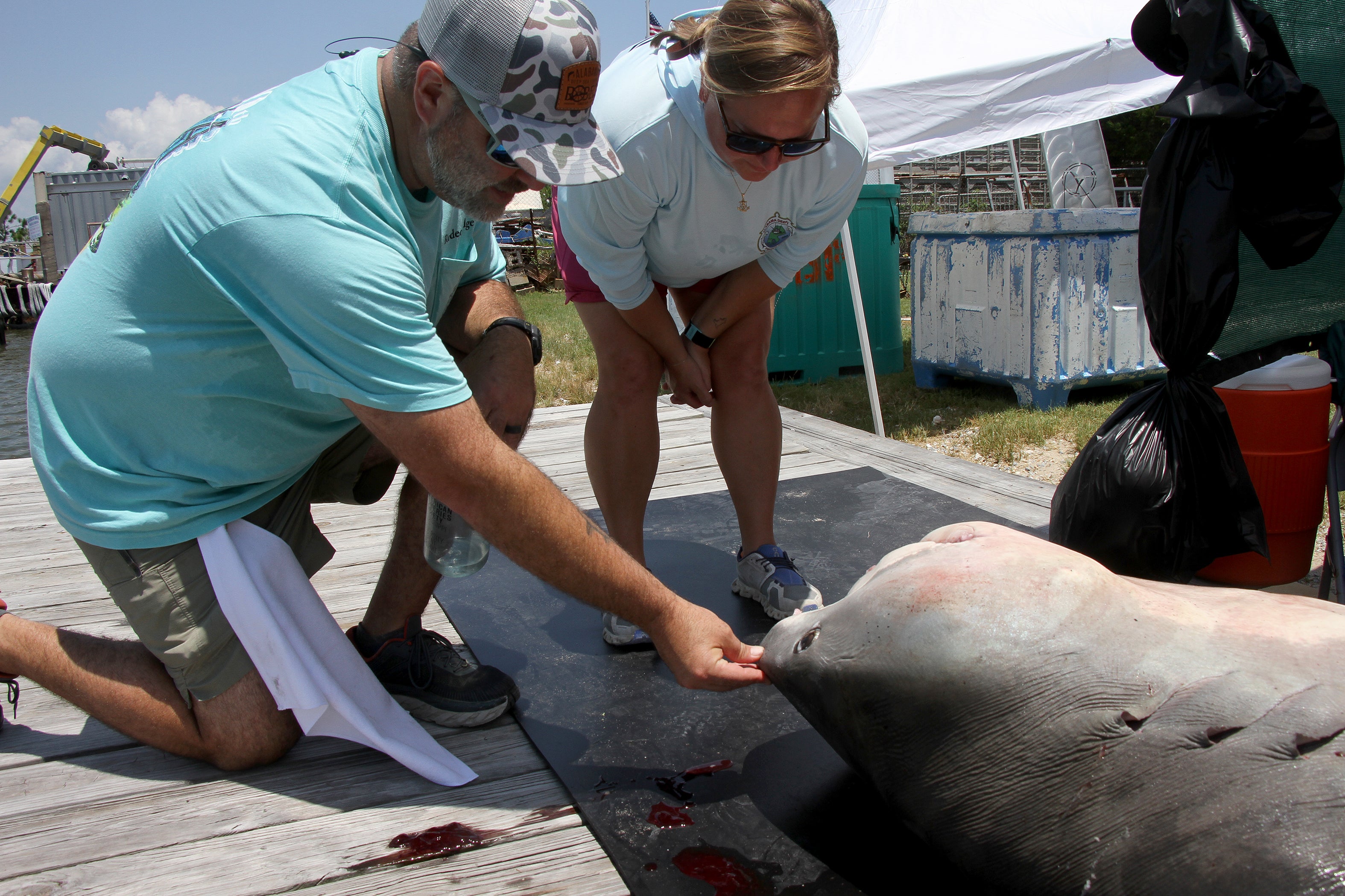 Potential Record Shark Highlights 90th ADSFR | Outdoor Alabama