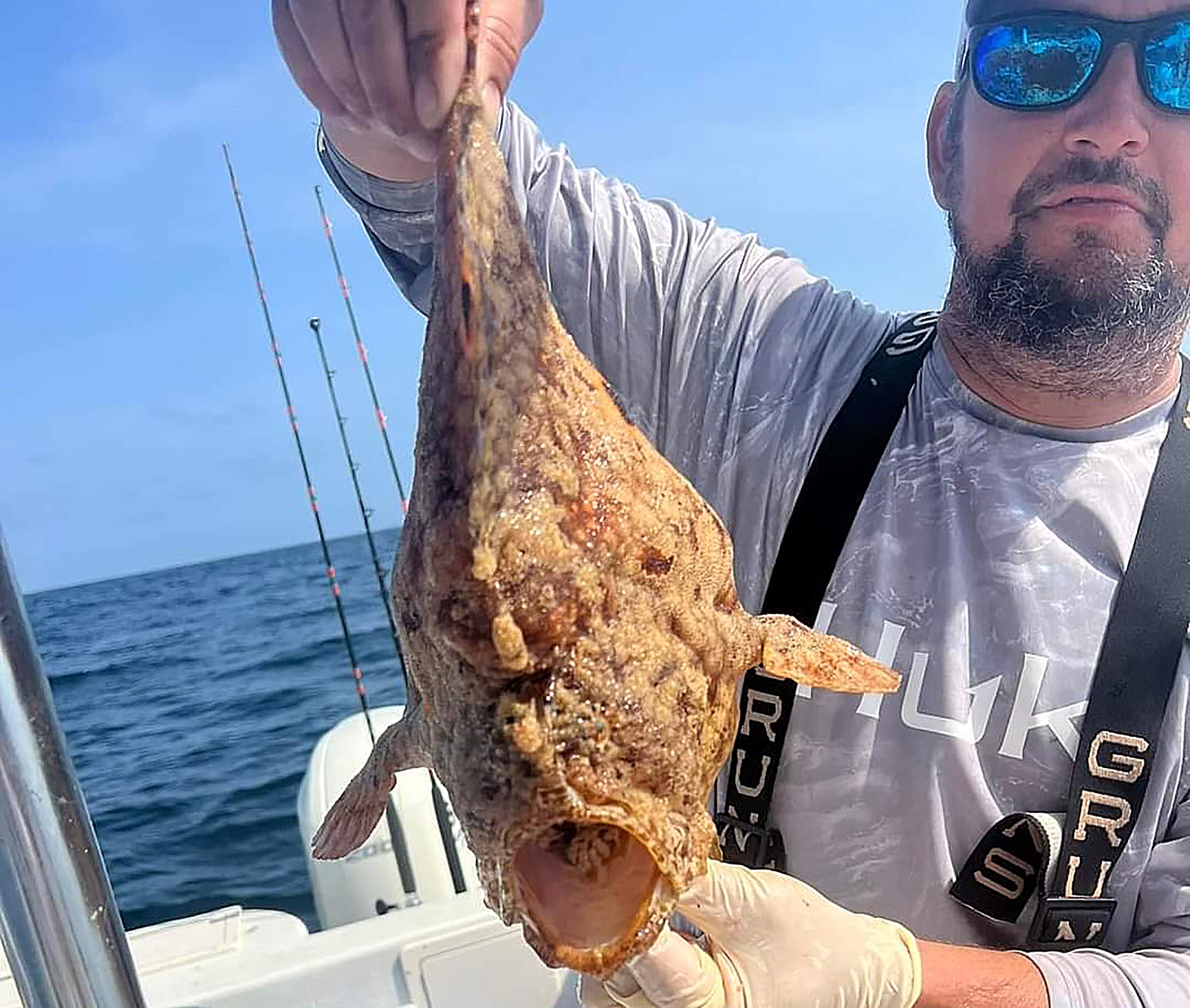 Gulf Reef Fish Trifecta Available in August | Outdoor Alabama