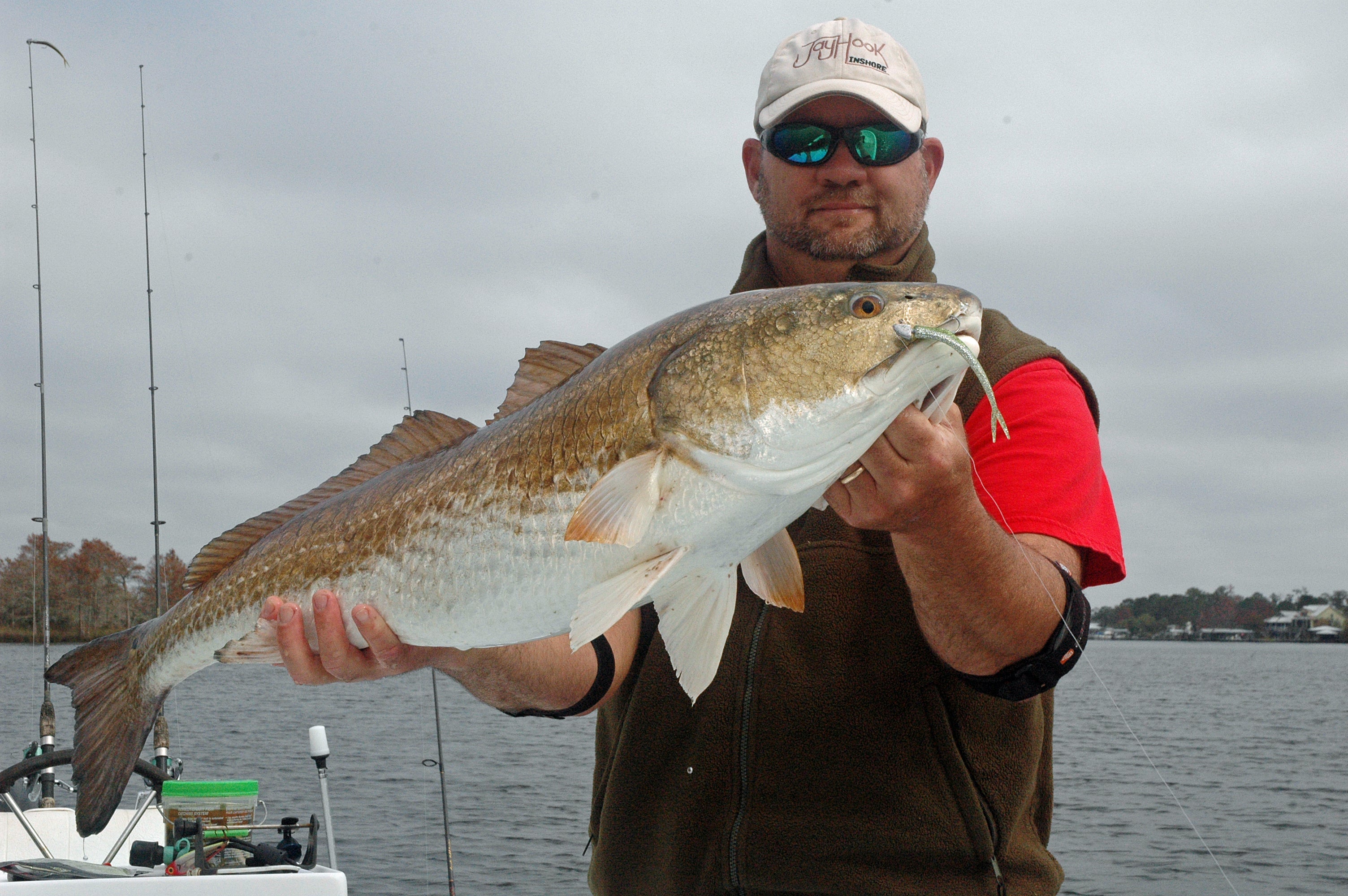Research on Inshore Species Yields Interesting Revelations | Outdoor ...