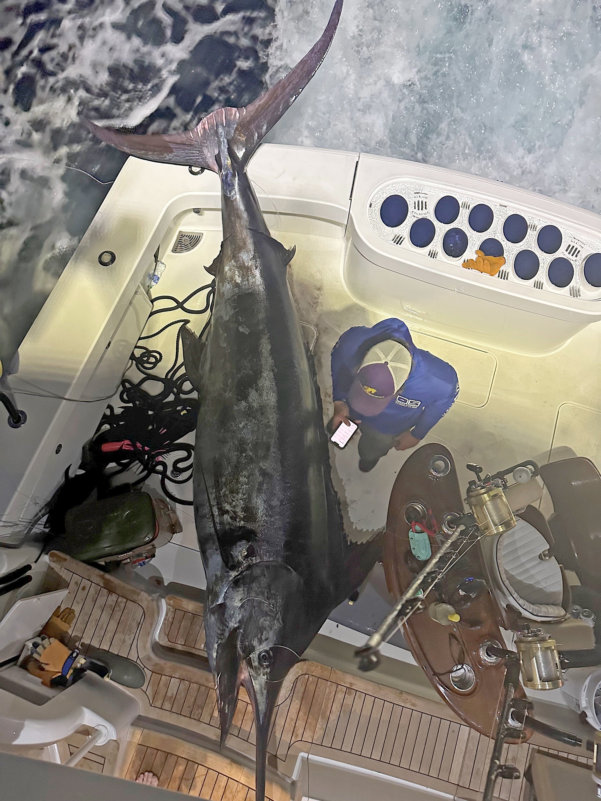 Orange Beach Boat Lands Potential Record Blue Marlin | Outdoor Alabama