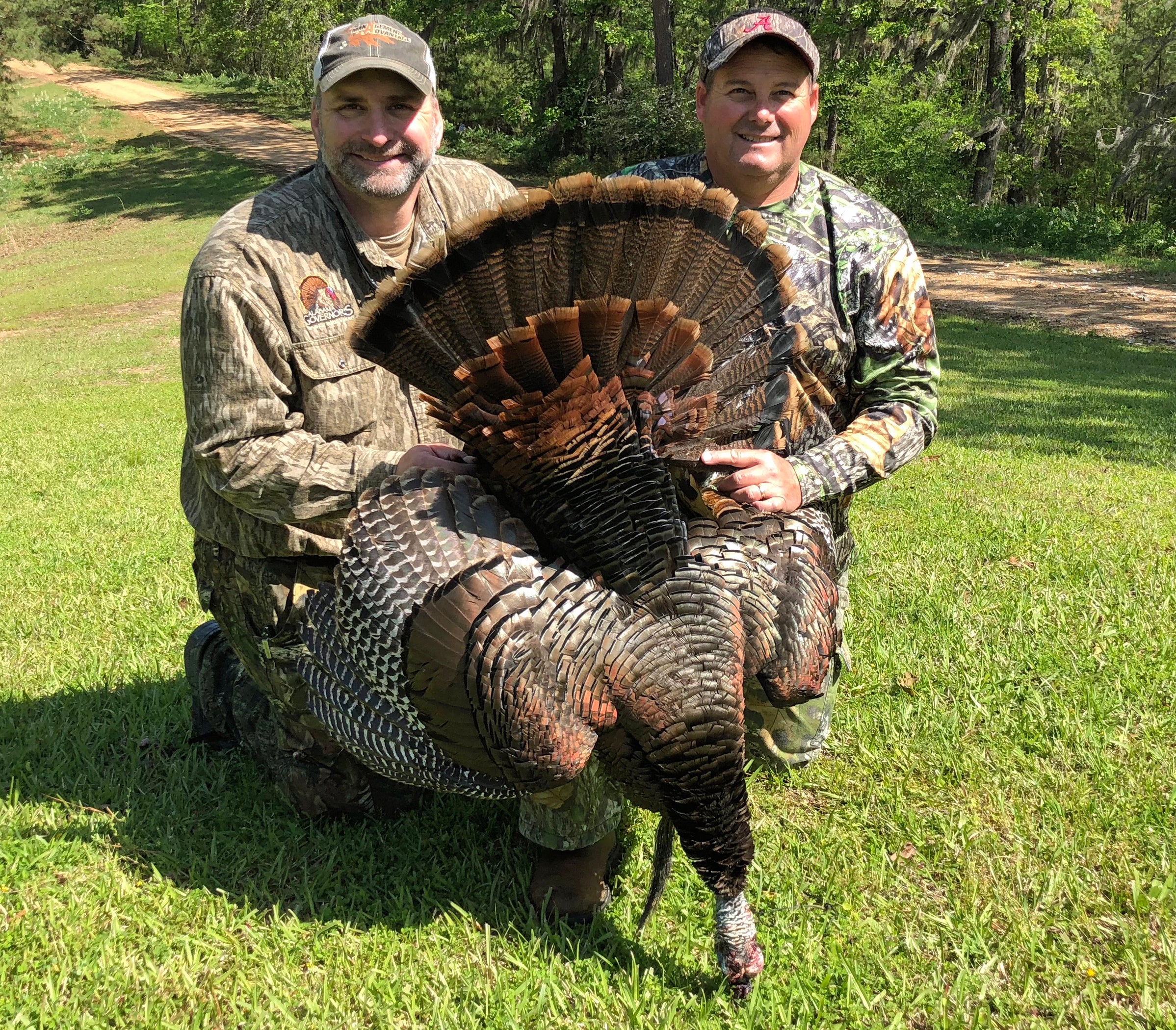 Alabama Hunters Report Increase in Turkey Harvest | Outdoor Alabama