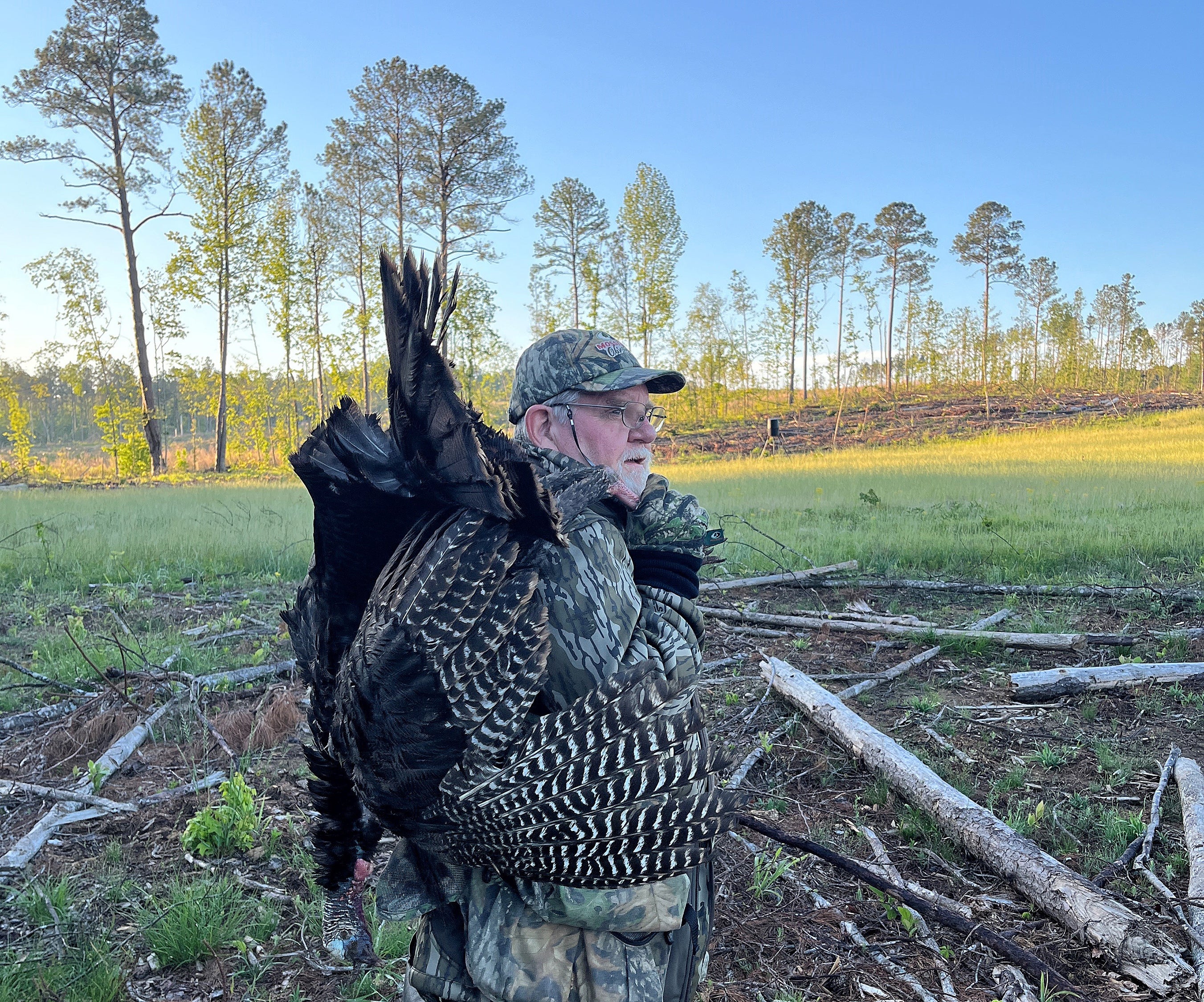 Field Turkeys Require Special Tactics, Patience | Outdoor Alabama