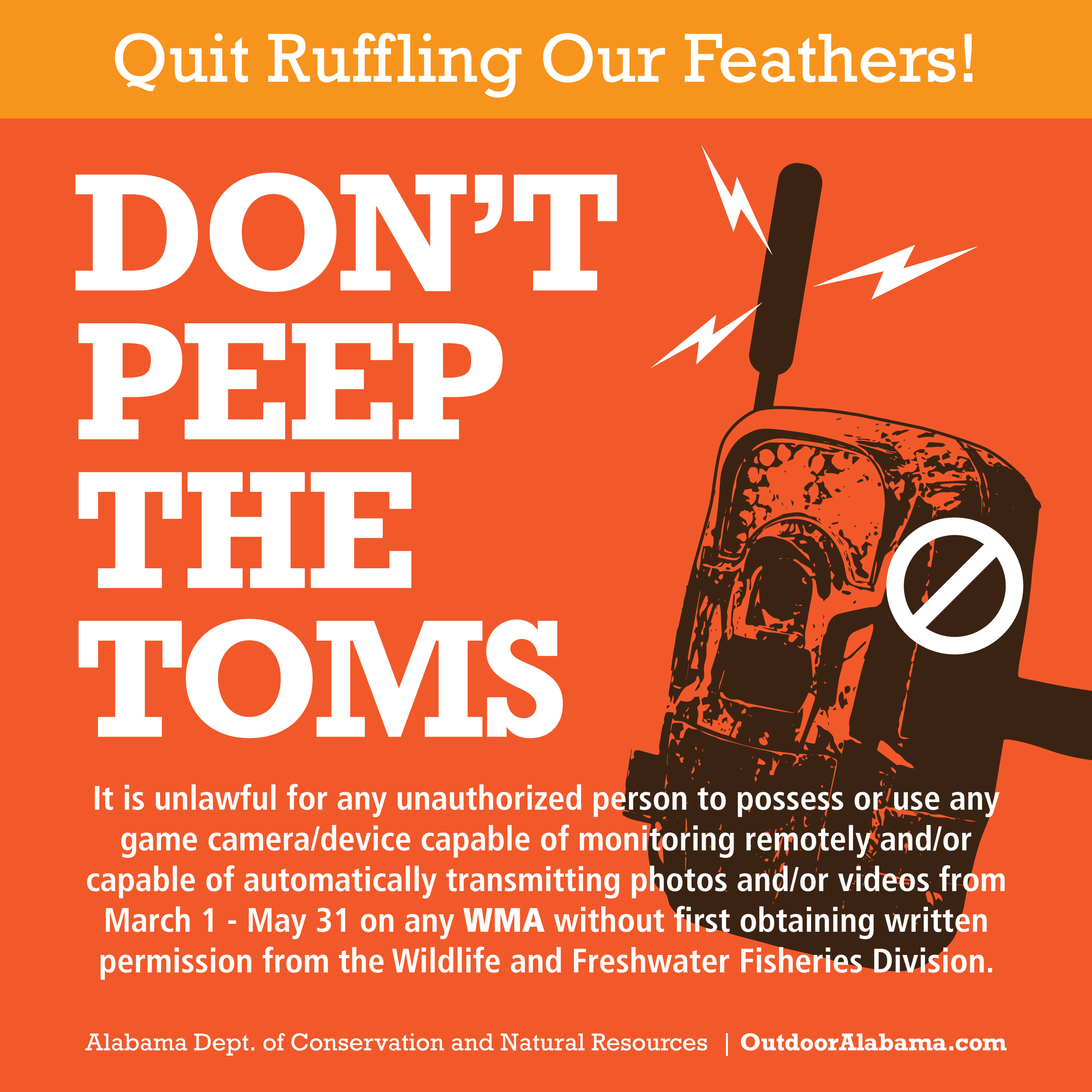 Be Sure of Turkey Season Dates, WMA Regulations | Outdoor Alabama