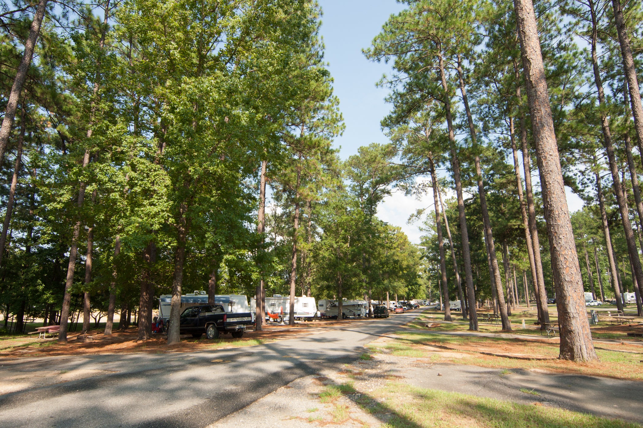 State Parks Online Campground Reservations System Goes Live | Outdoor ...