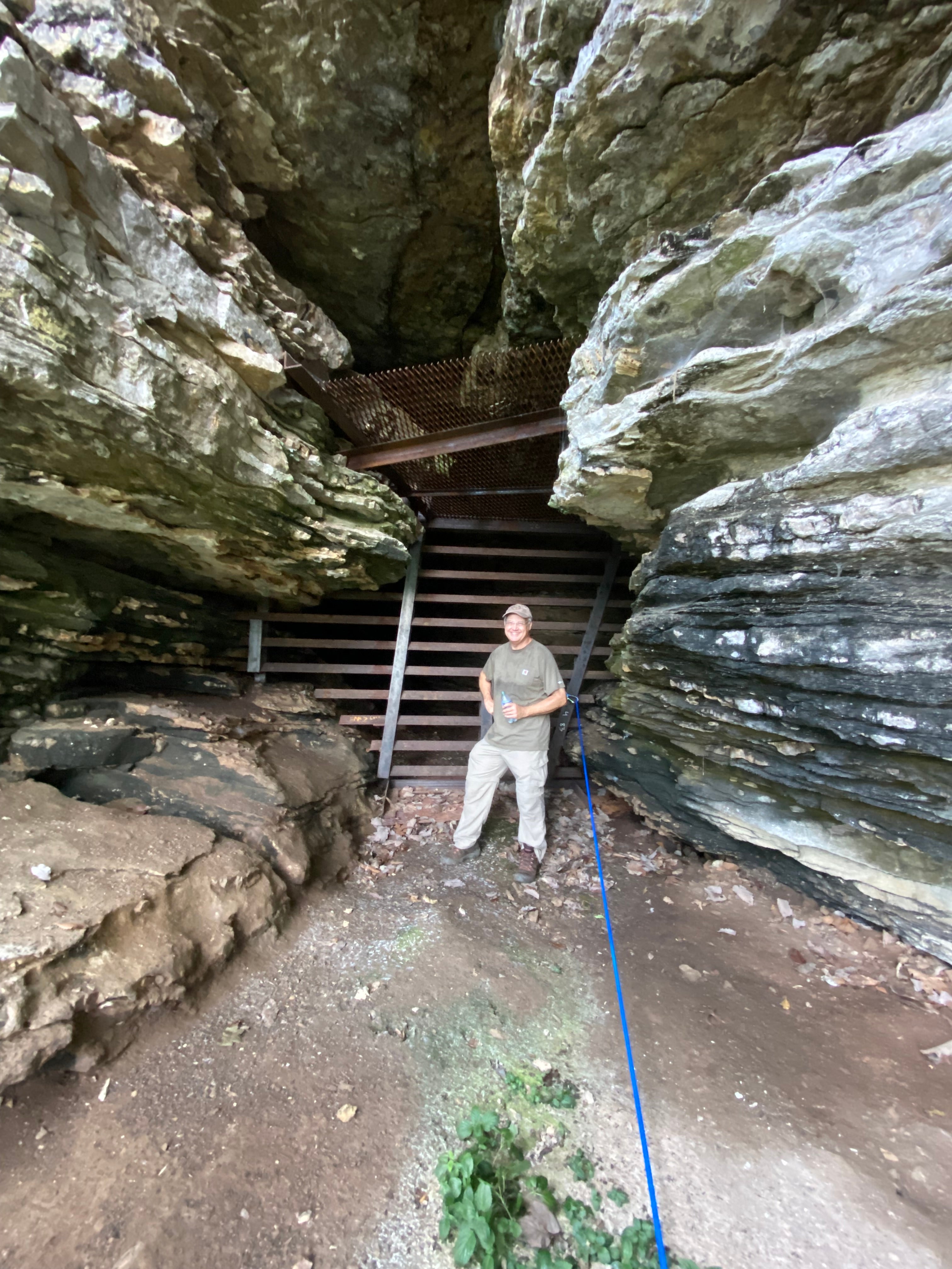 Celebration of Bats Continues at Wildlife and Freshwater Fisheries ...