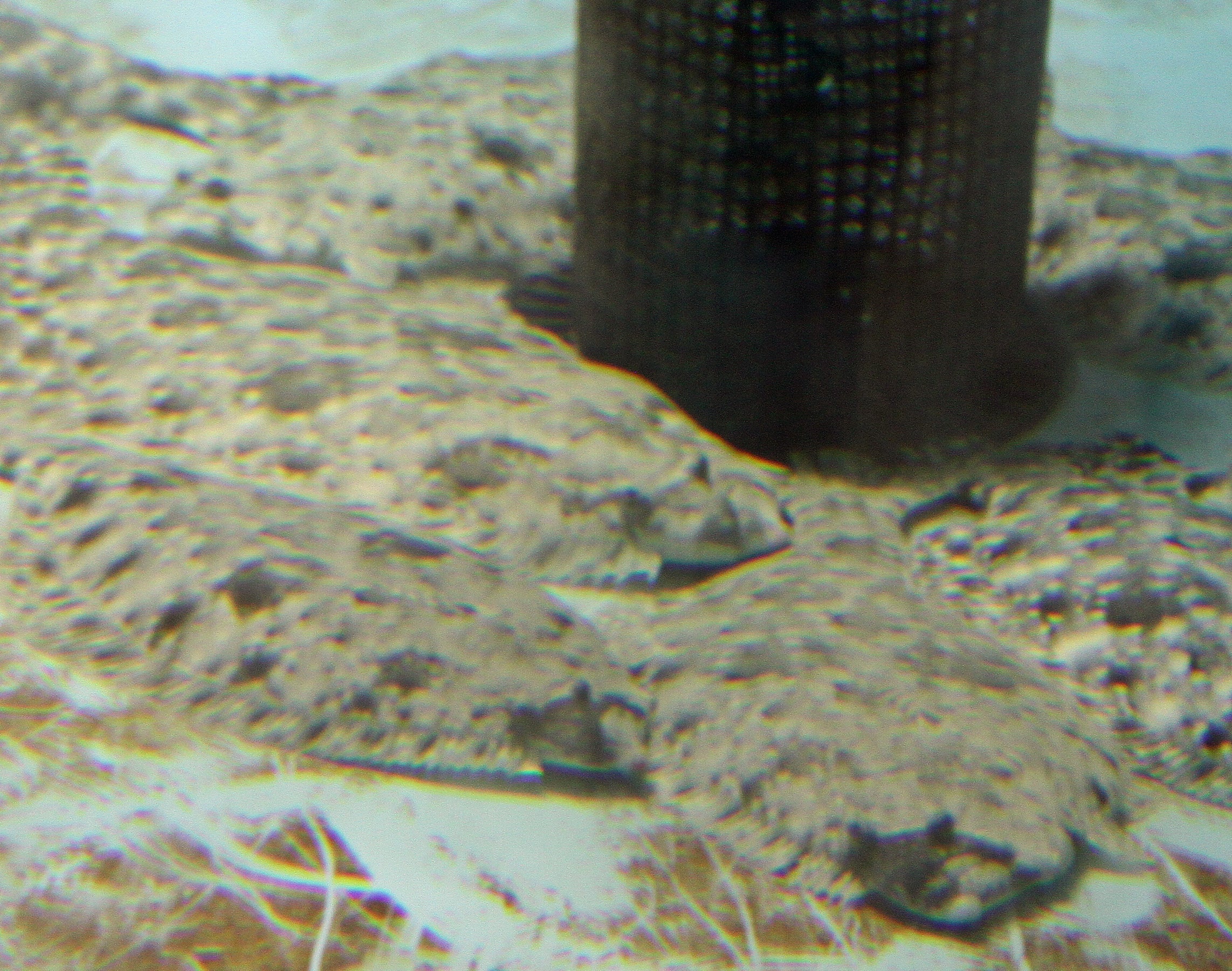 MRD Hatchery Spawning Flounder for First Time | Outdoor Alabama