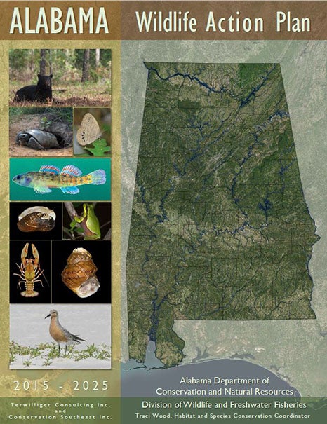 State Wildlife Grants | Outdoor Alabama