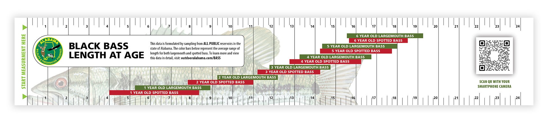 Black Bass Ruler | Outdoor Alabama