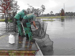 Point A Reservoir | Outdoor Alabama