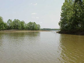 Demopolis Reservoir | Outdoor Alabama