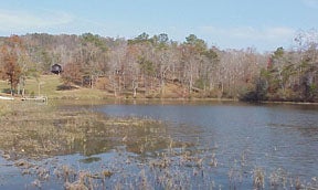 Holt Reservoir | Outdoor Alabama