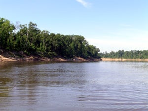 Alabama River | Outdoor Alabama