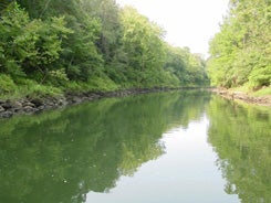 Conecuh River | Outdoor Alabama