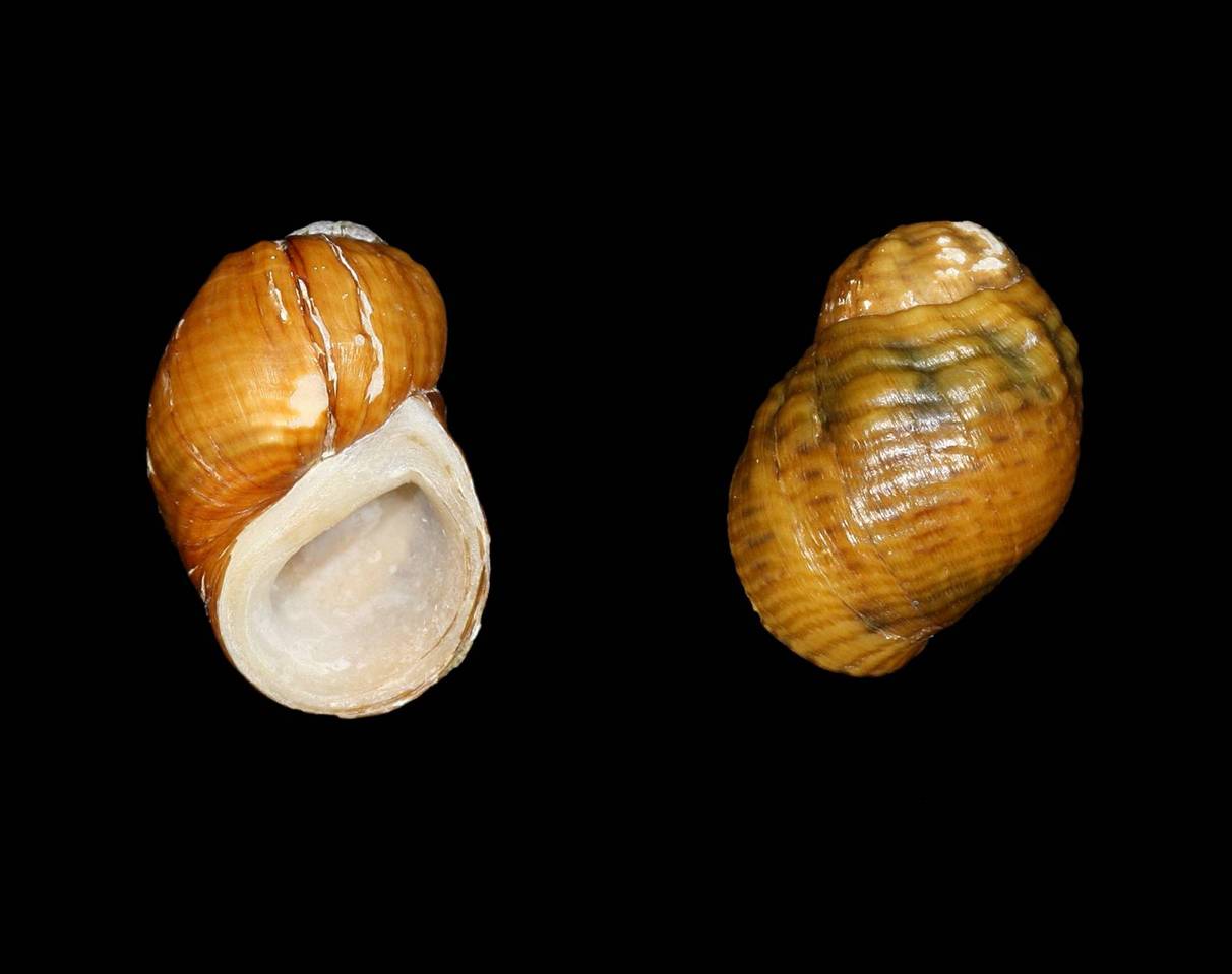 Coosa River | Outdoor Alabama