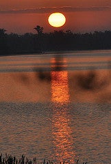 Mobile Delta | Outdoor Alabama