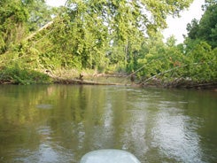 Pea River | Outdoor Alabama