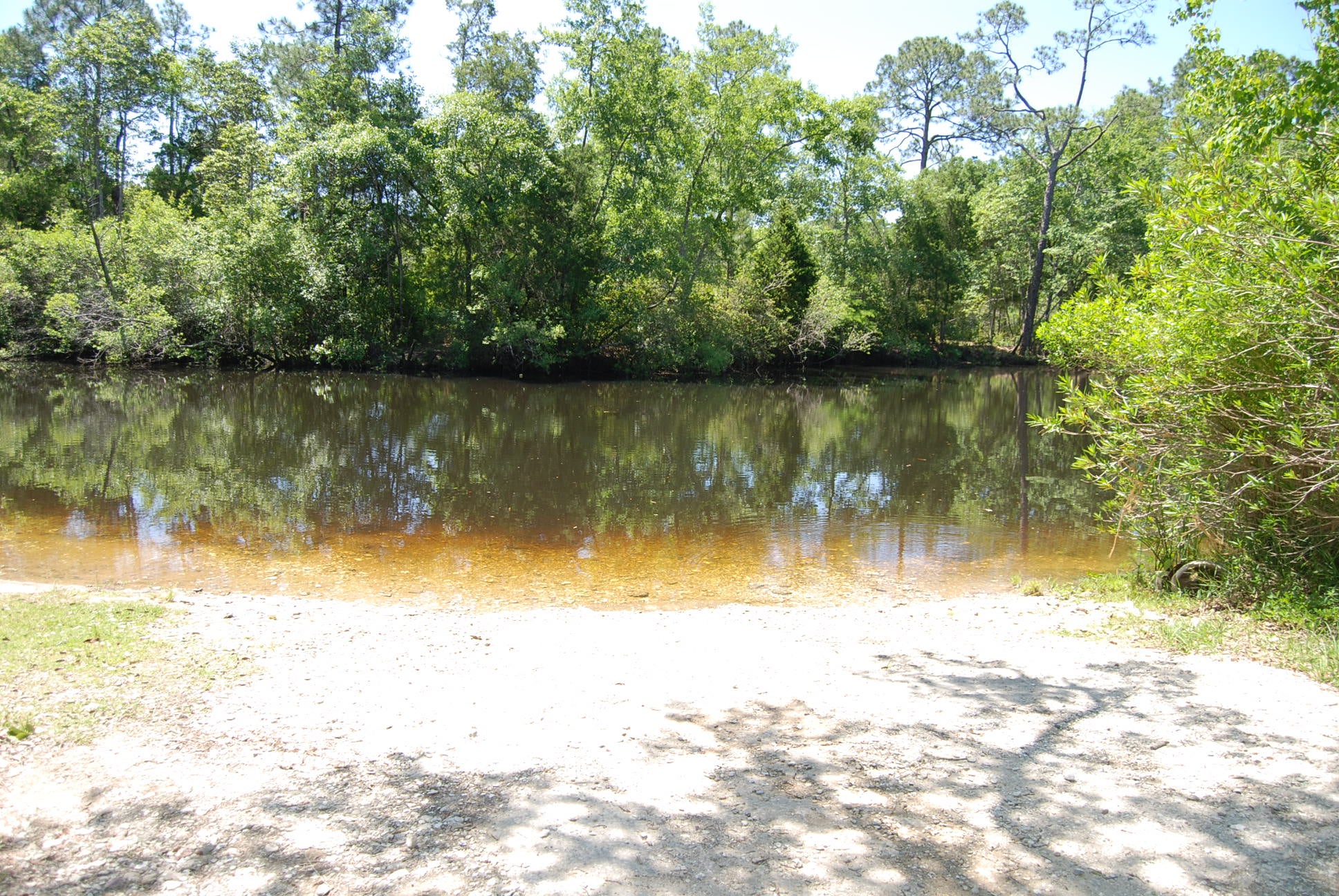 Memories Fish Camp | Outdoor Alabama