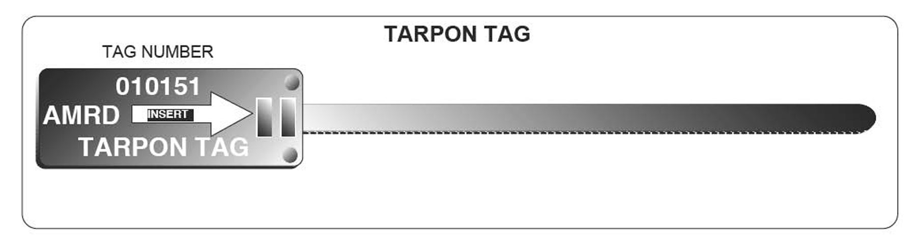 Tarpon Regulations | Outdoor Alabama