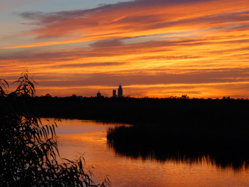 5 Rivers - Boat Tours | Outdoor Alabama