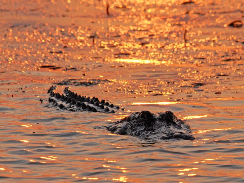 5 Rivers - Boat Tours | Outdoor Alabama