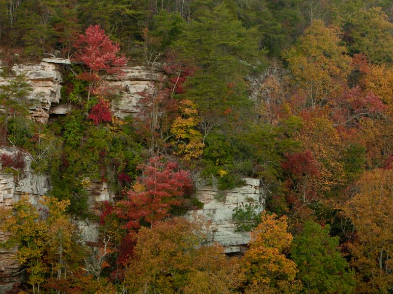 Fall Color Trail | Outdoor Alabama