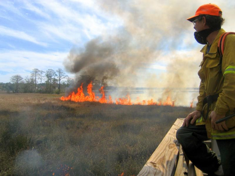 Weeks Bay Reserve | Outdoor Alabama