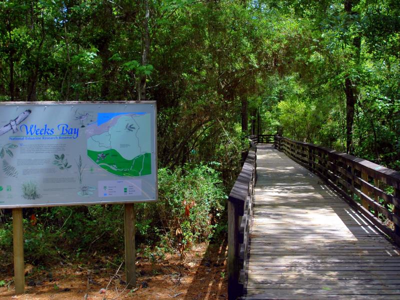 Weeks Bay Visitor Center | Outdoor Alabama