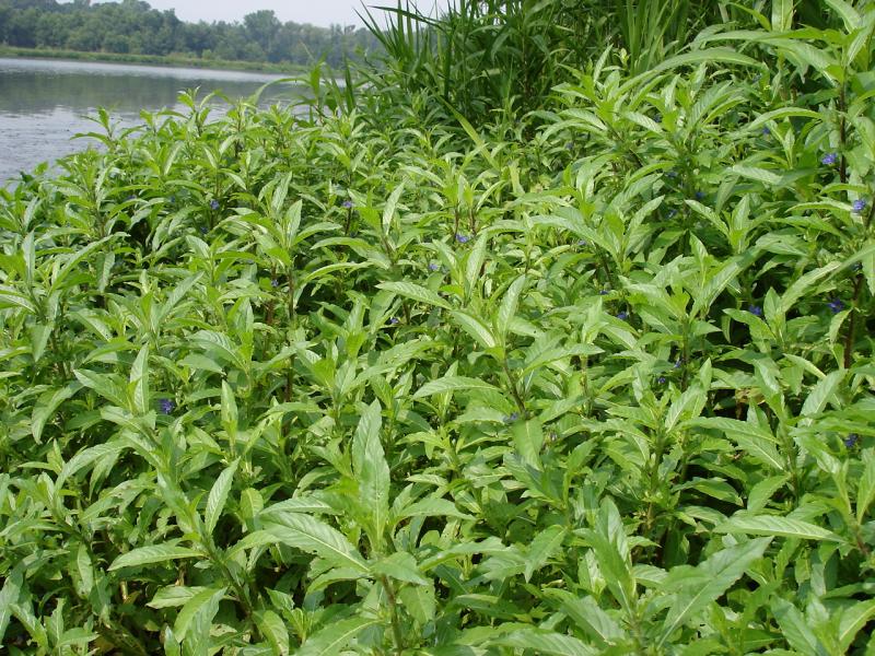 Waterpod | Outdoor Alabama