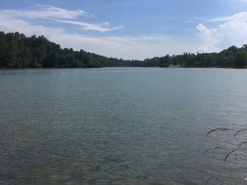 Barbour County PFL | Outdoor Alabama