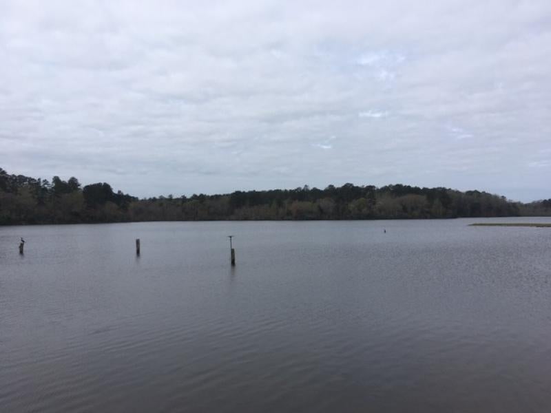 Coffee County PFL | Outdoor Alabama