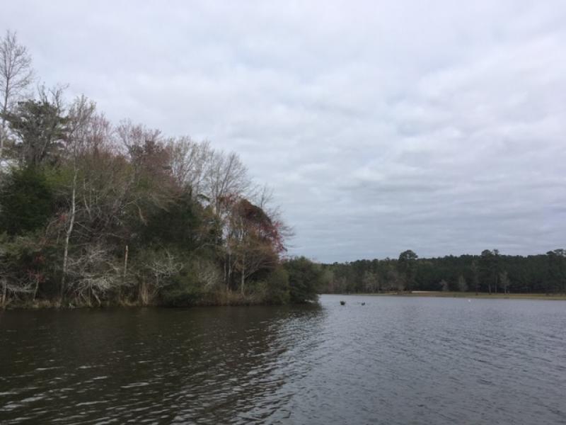 Coffee County PFL | Outdoor Alabama