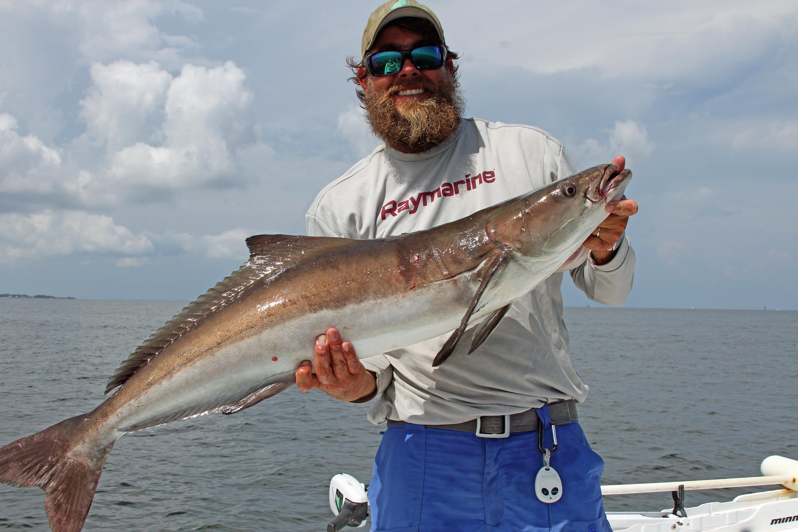 Powers Leads Study on Cobia and Tripletail in the Gulf | Outdoor Alabama