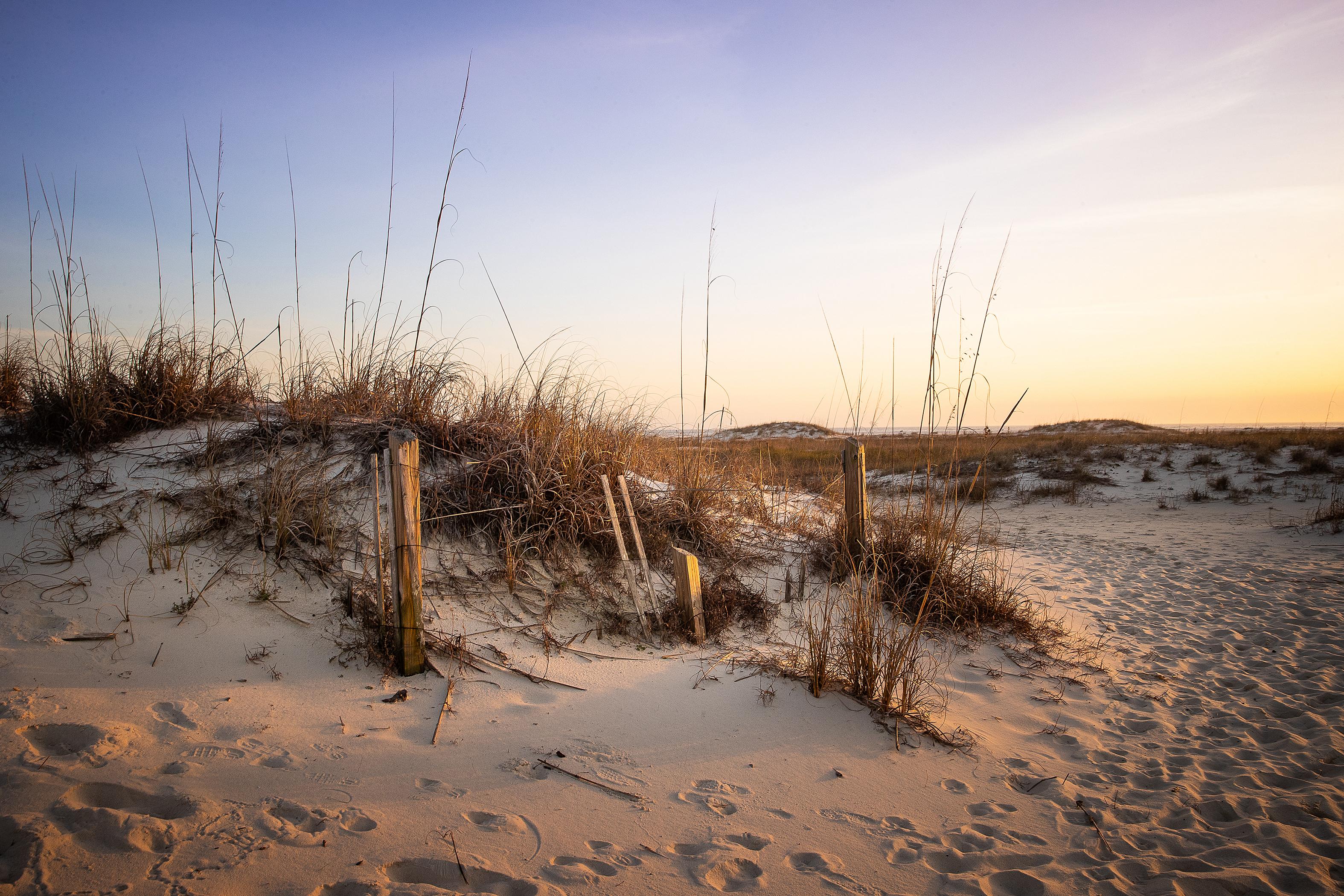 Ivey Praises Last Round of NFWF-Funded Projects | Outdoor Alabama